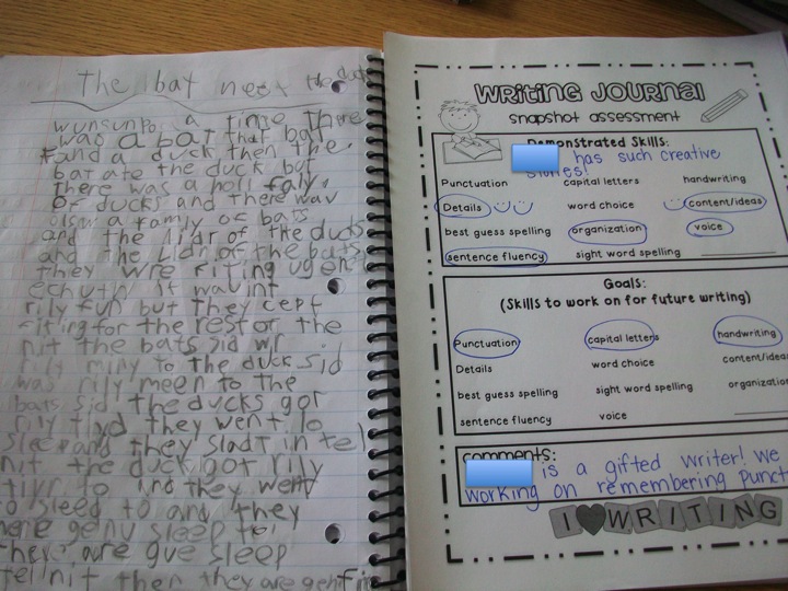 Writer's Notebooks - Sarah's Teaching Snippets