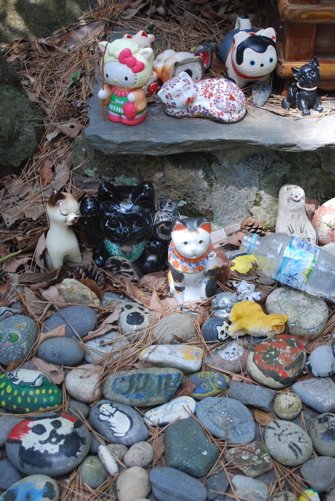 Cat Island | Earth Blog