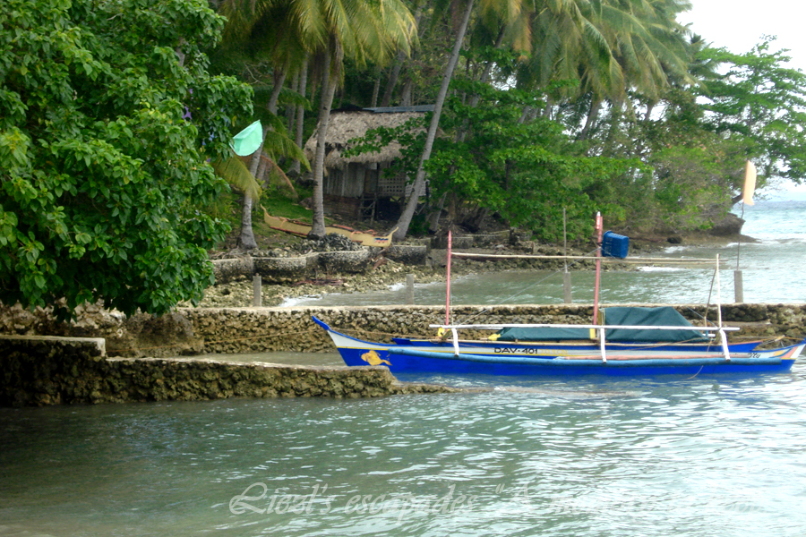 TRAVEL ESCAPADES: Natural Beauty of Talicud Island, Samal, Philippines
