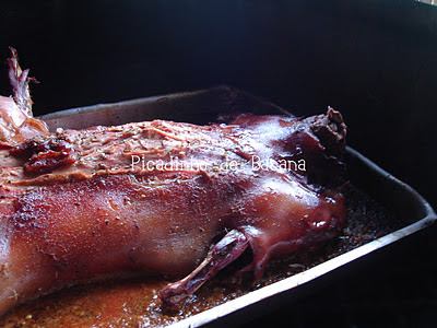 Picadinho de Bacana: Paca Assada