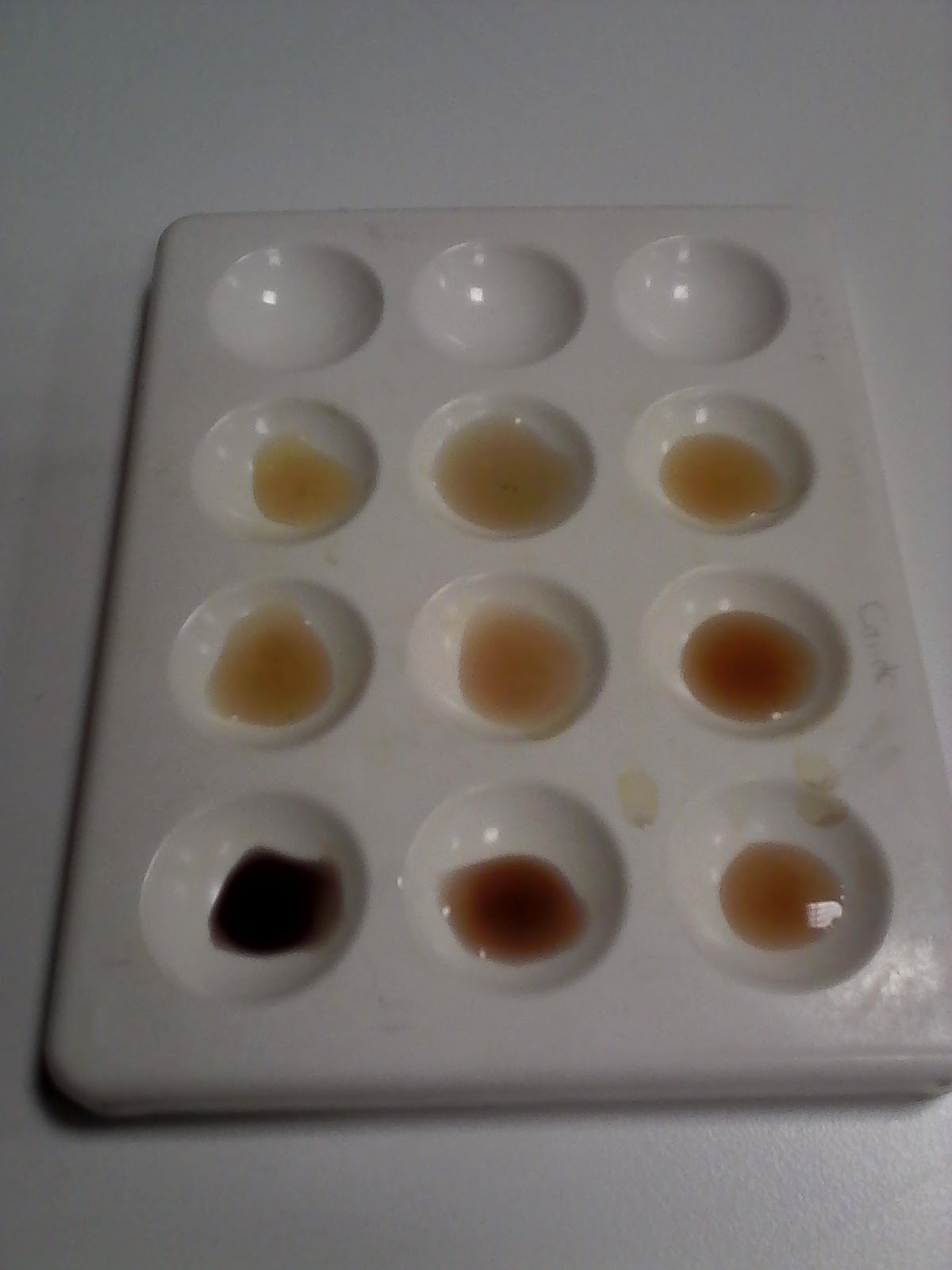 😊 Reaction of amylase on starch. Amylase Starch Experiments. 2019-01-31