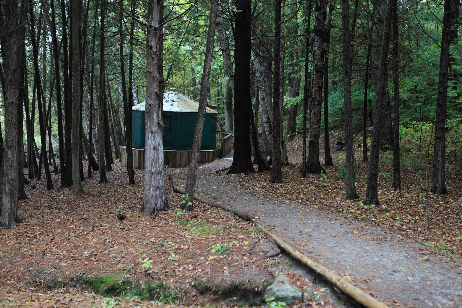 The Campsites: Charleston Lake Ontario Provincial Park, yurt 315B
