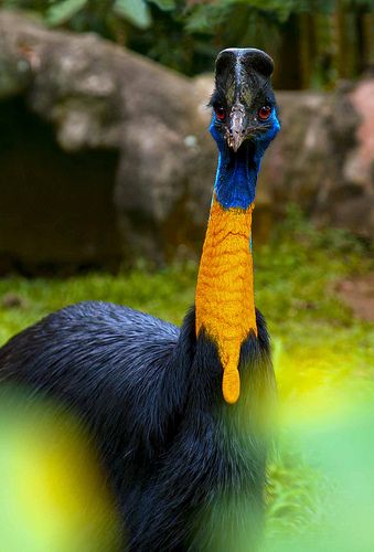 Mitoslavia: 02/17/18