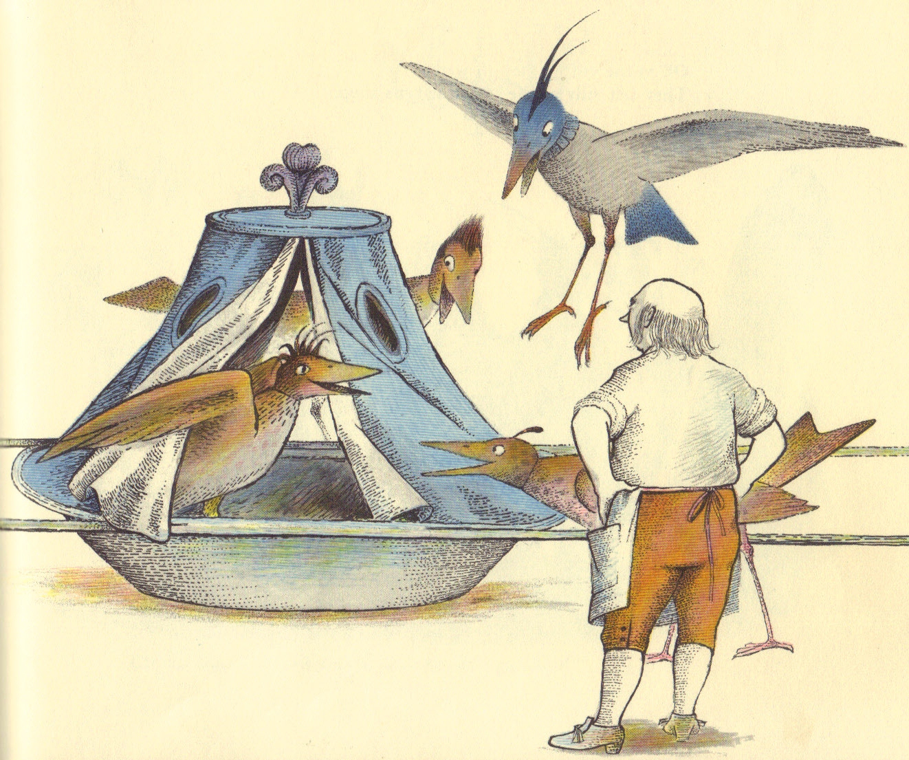 Books For Breakfast: Mr. Biddle and the Birds