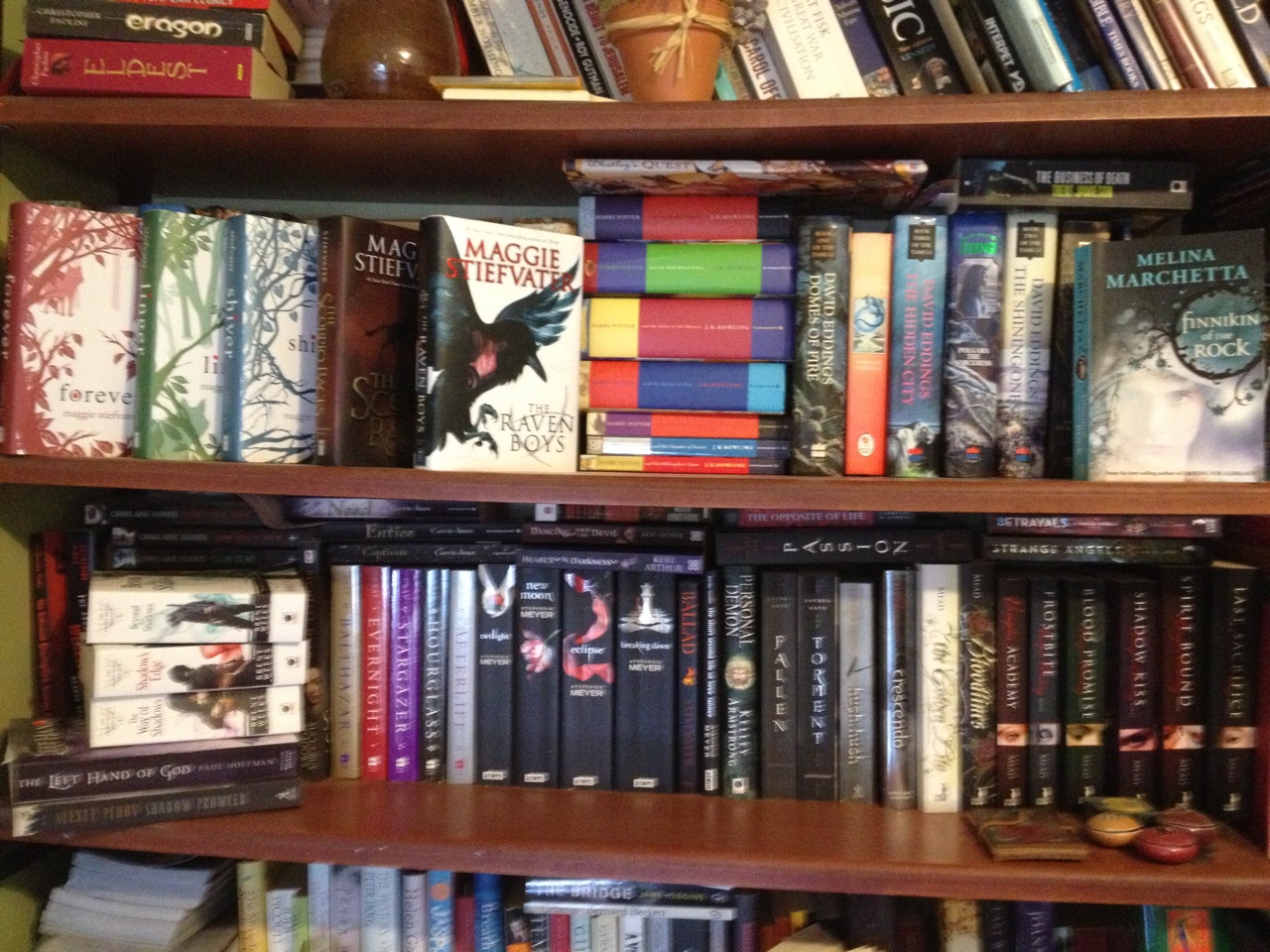 Bookcase Showcase: Author Paula Weston