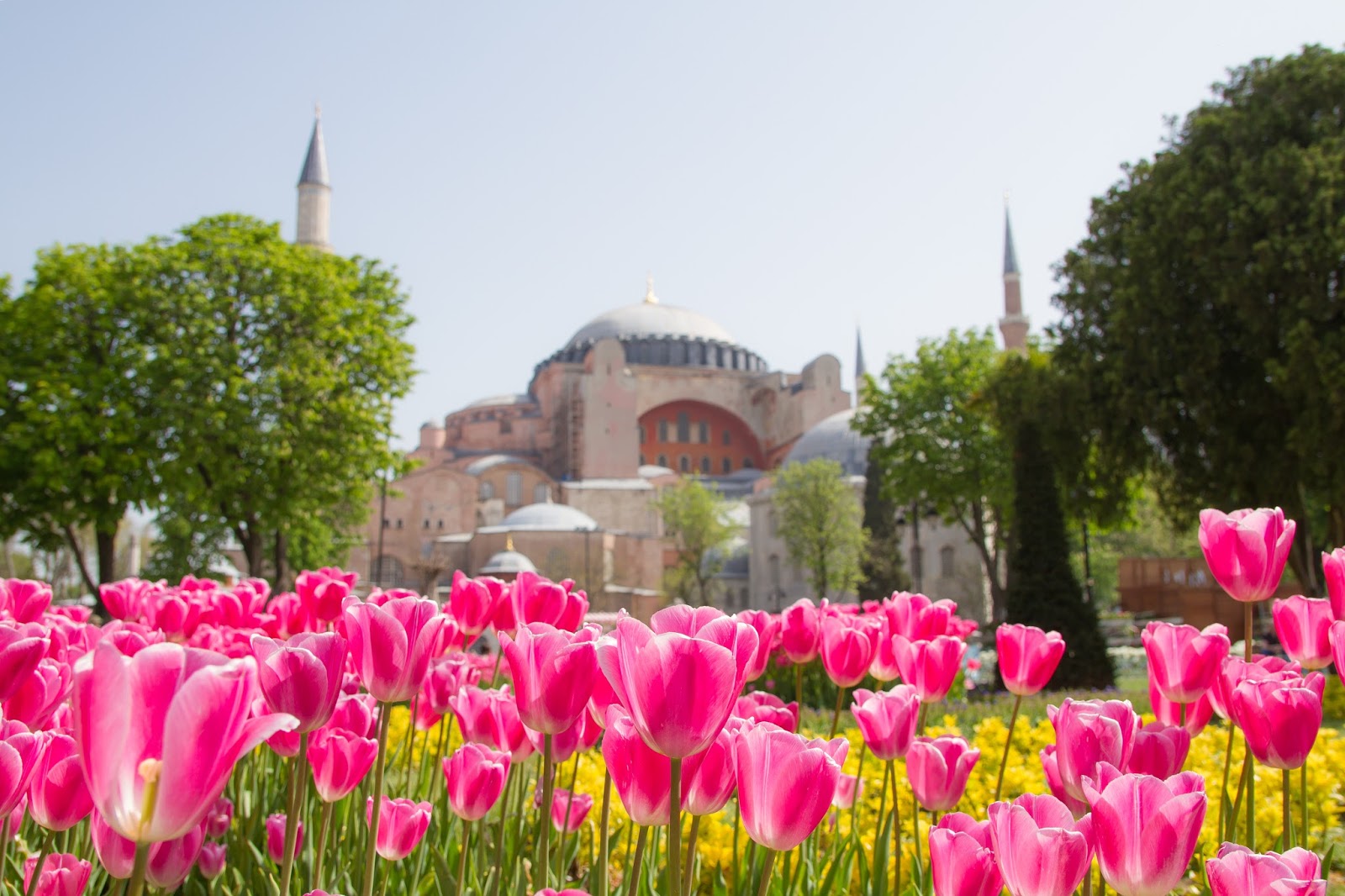 Tulipmania Rediscovered 2016 : The Ottoman Empire roots - TheWackyDuo ...