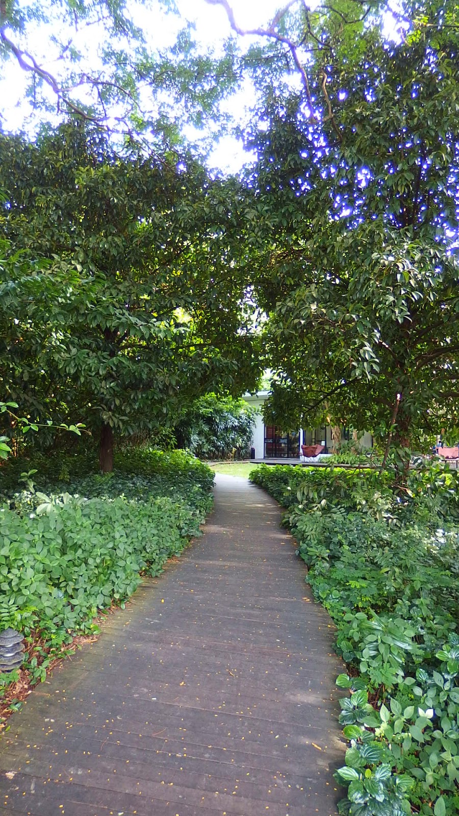 SuMMeR LoVes To Eat! Singapore Food Blog: PS Cafe (28b Harding Road ...