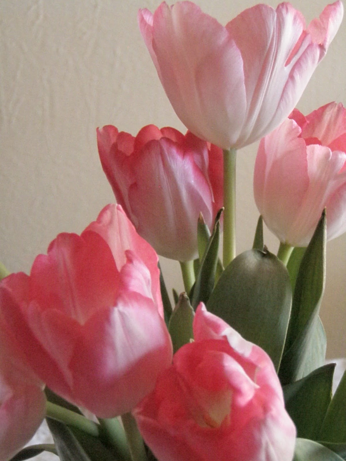 Cabin & Cottage : A Pink Celebration!