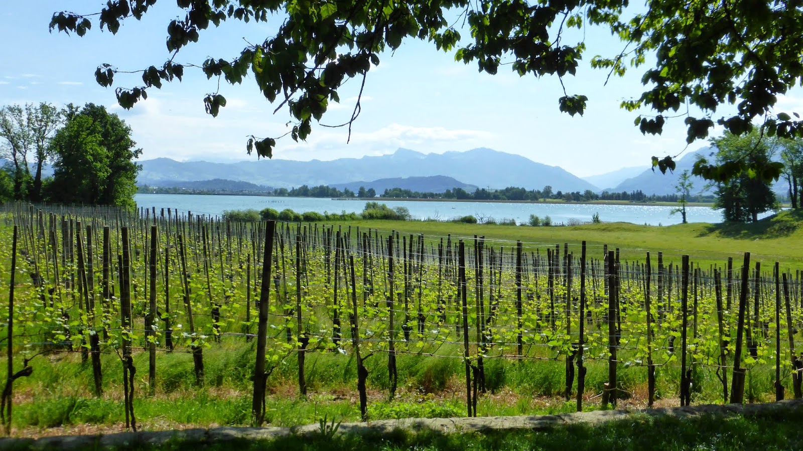 Pfannenstiel Wanderblog: Insel Ufenau & Halbinsel Au (Zürichsee)