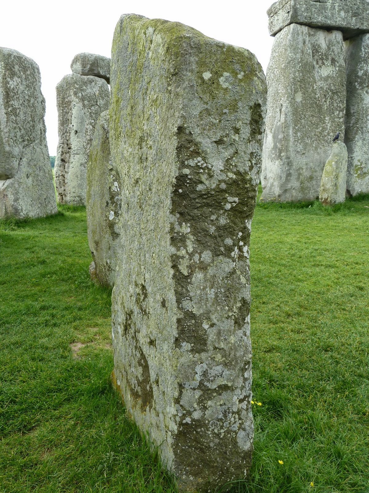 The Stones of Stonehenge: Stone 49