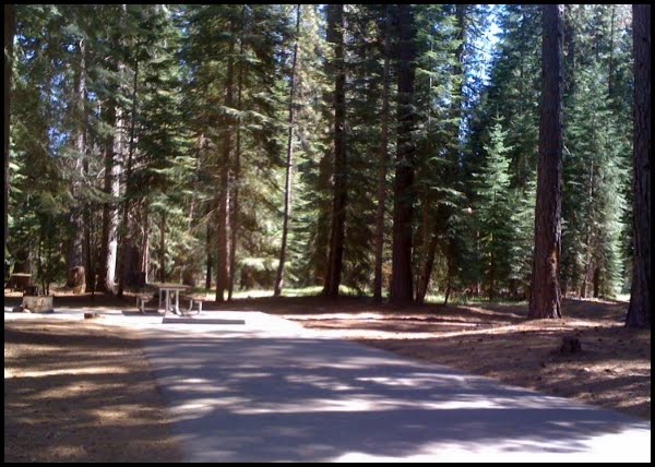 Siskiyou County Camping: Cattle Camp