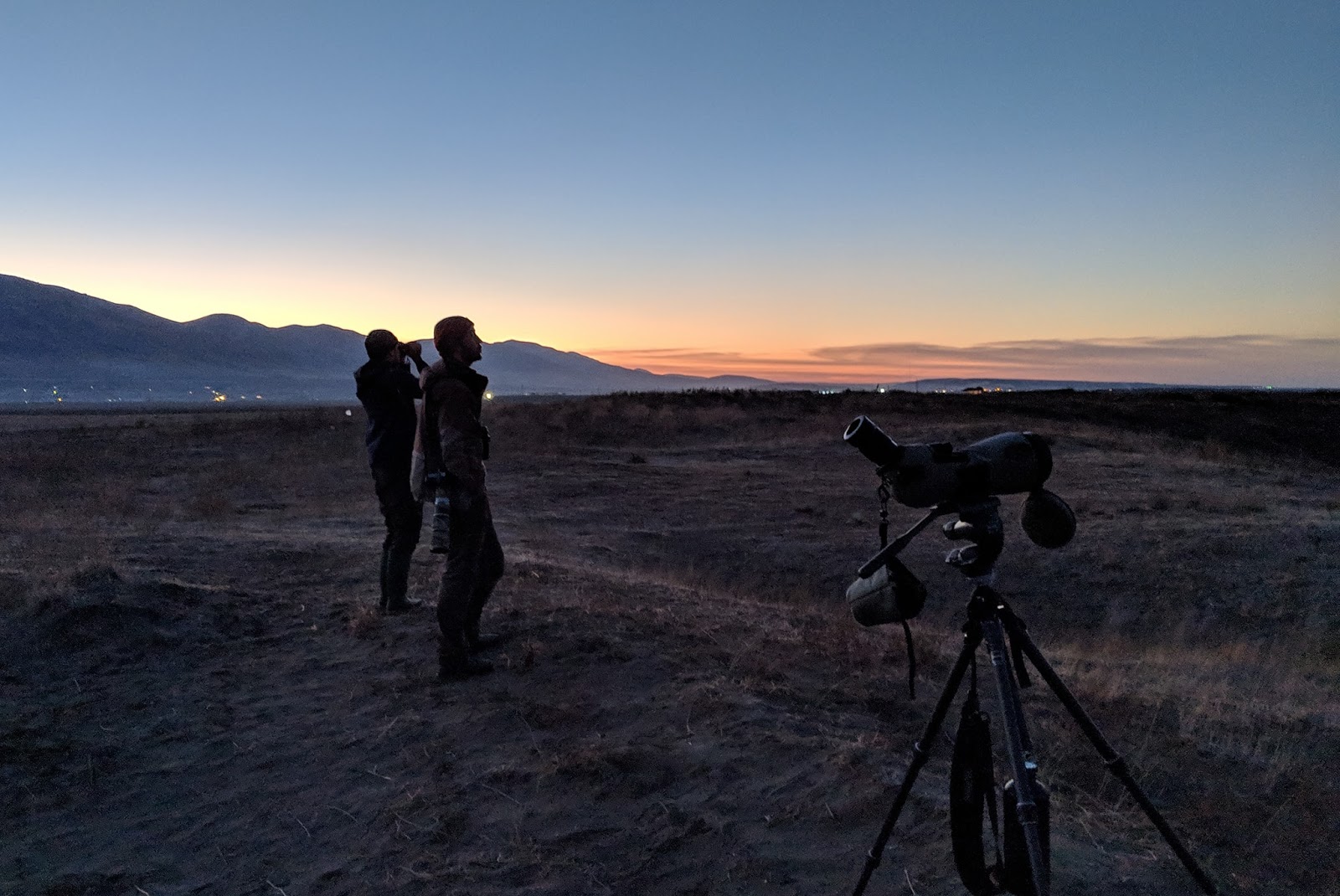 Birding Azerbaijan: Late October / early November impressions by ...