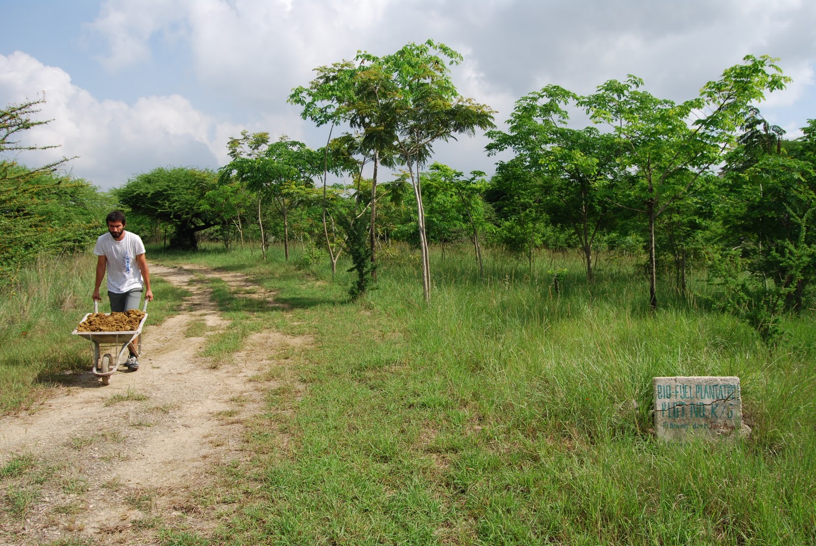 A man without a donkey... is a donkey: El barro, las manos, la caca de ...