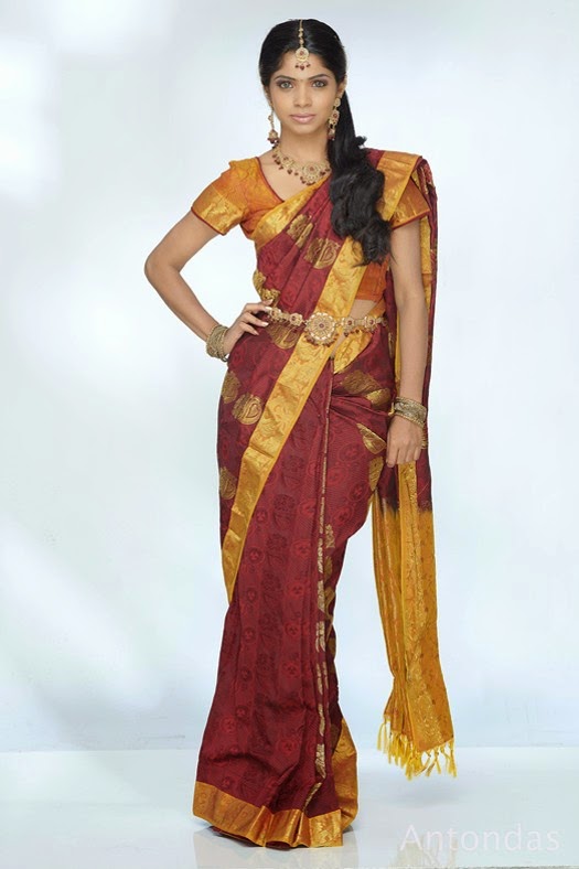 Actress Divya Photo session in saree
