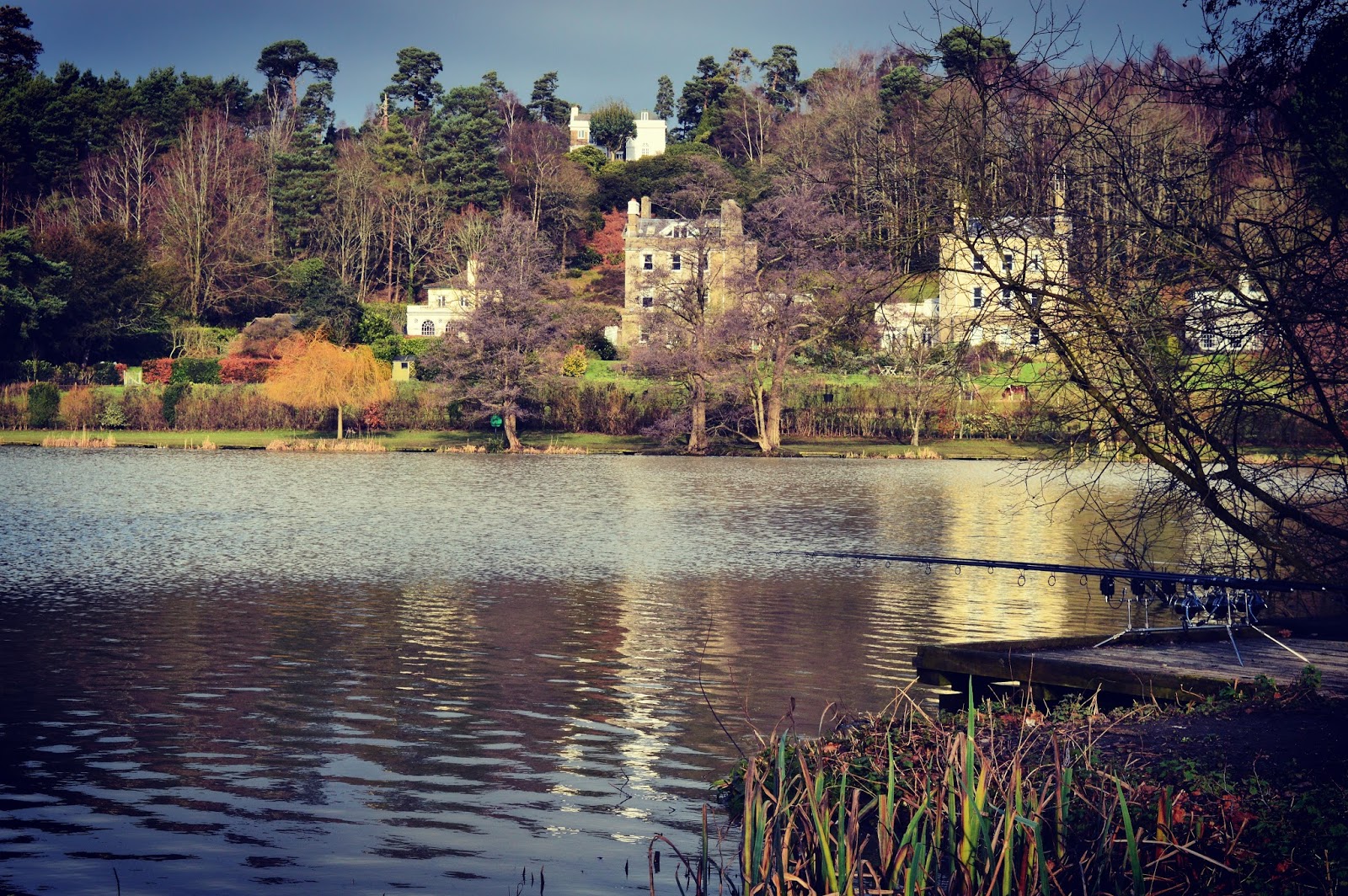 Fish Hooked: Zander Fishing, Old Bury Hill Lake