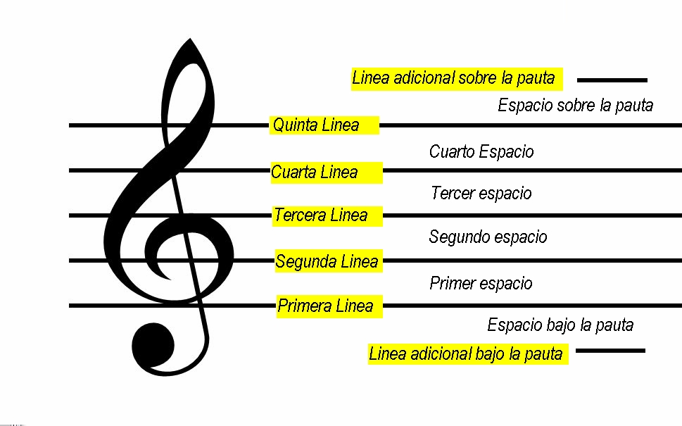 Sala de Música: Ubicación de las notas en la pauta