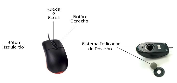 La Computadora: mouse