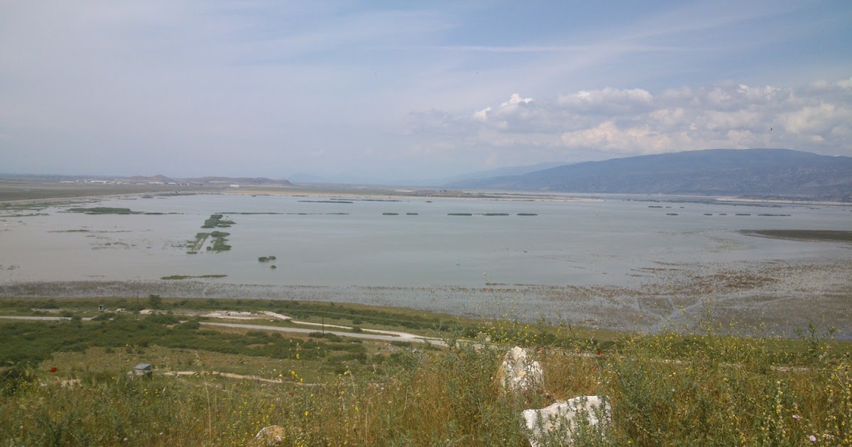 Κυψελη: Τα μελισσια στη λιμνη Καρλα