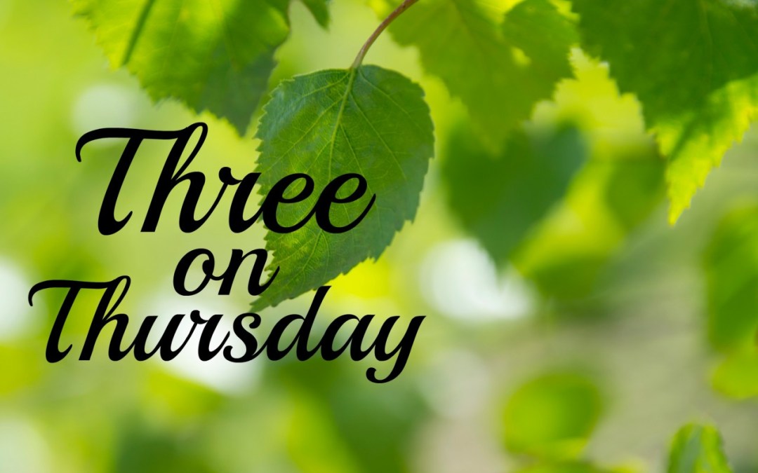 The Ravell'd Sleave: June 2018