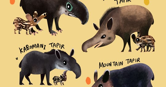 Green Humour: Tapirs of the World