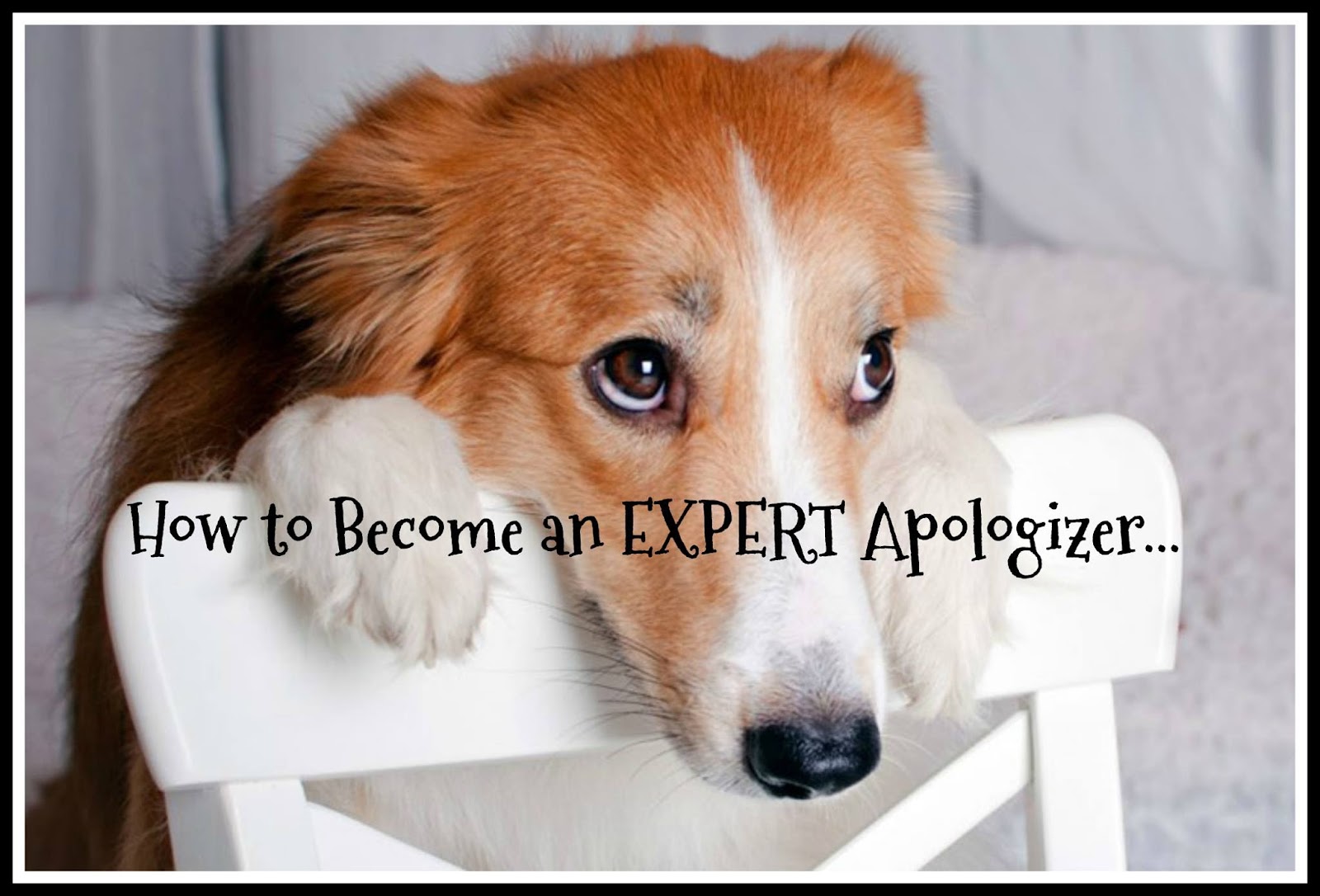 Cuppa Catholic (Grande style!): How to Become an Expert Apologizer