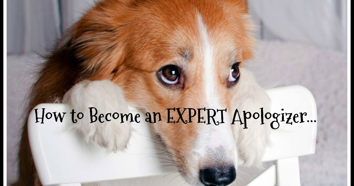 Cuppa Catholic (Grande style!): How to Become an Expert Apologizer