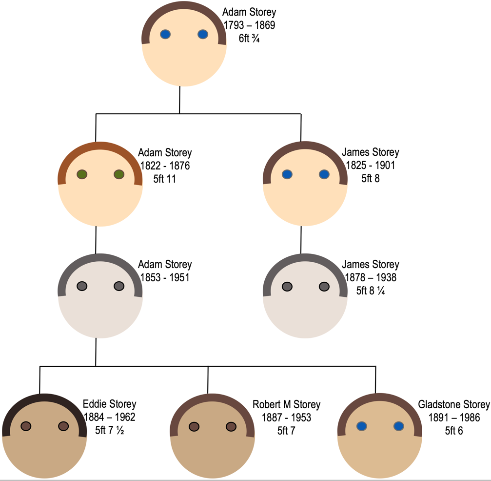Intertwining Branches: What Did My Ancestors Look Like? - The Storeys