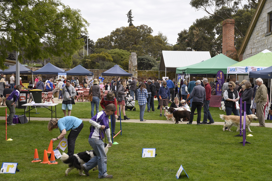 Dog's Day Out Rosny Farm 2017 - October 1 | Australian Dog Lover