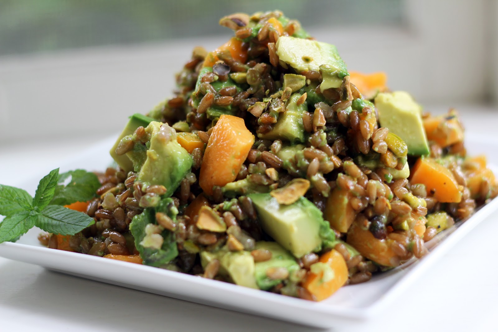 Blue Kale Road: Avocado and Apricot Rye Berry Salad
