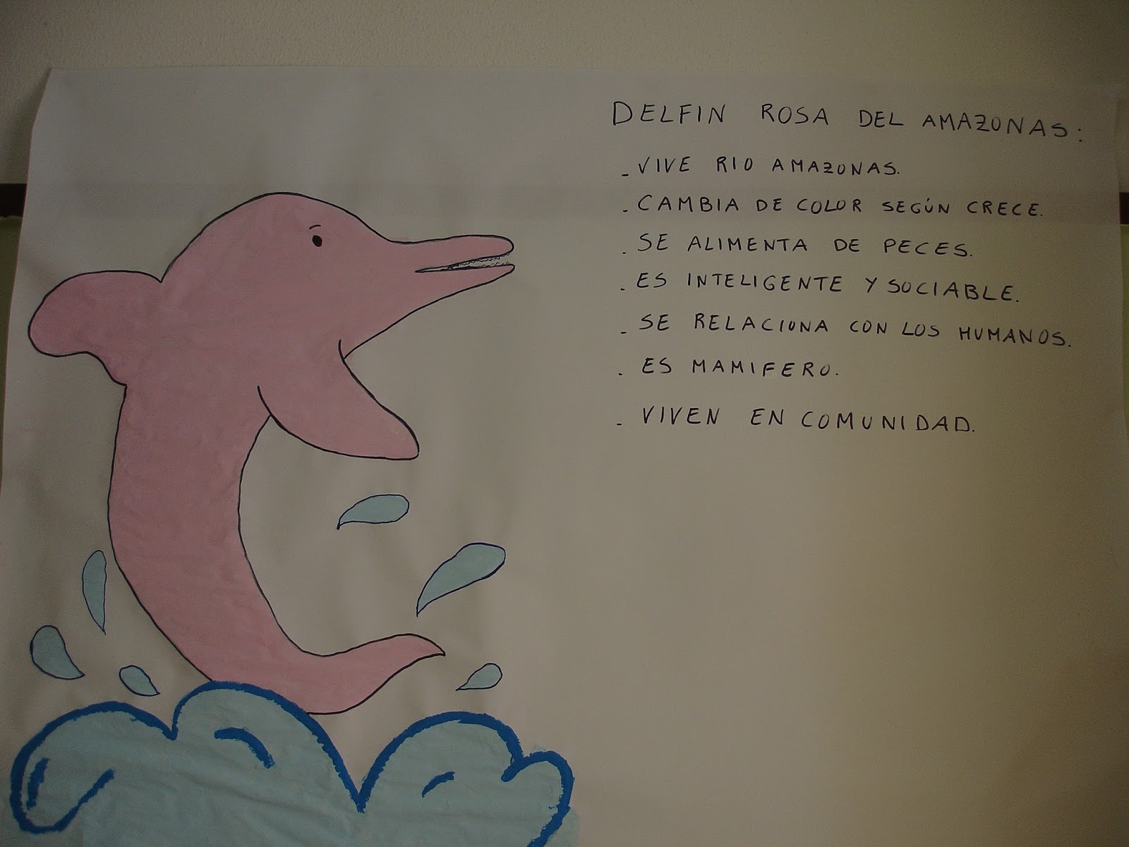Educación Infantil: "EL DELFÍN ROSA DEL AMAZONAS"