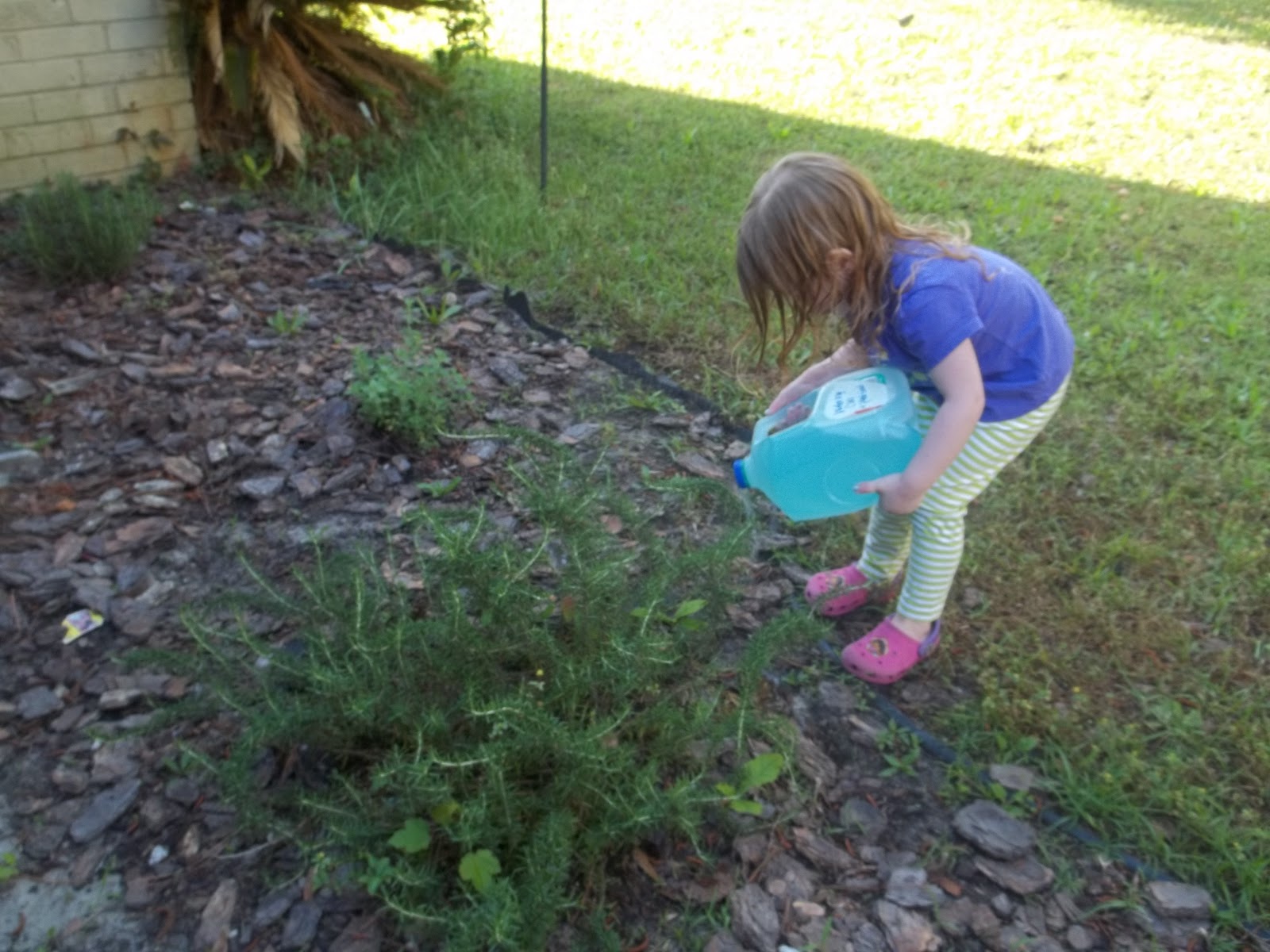 Just Makin' It: Curriculum Review: Earth Day (Week) Activities