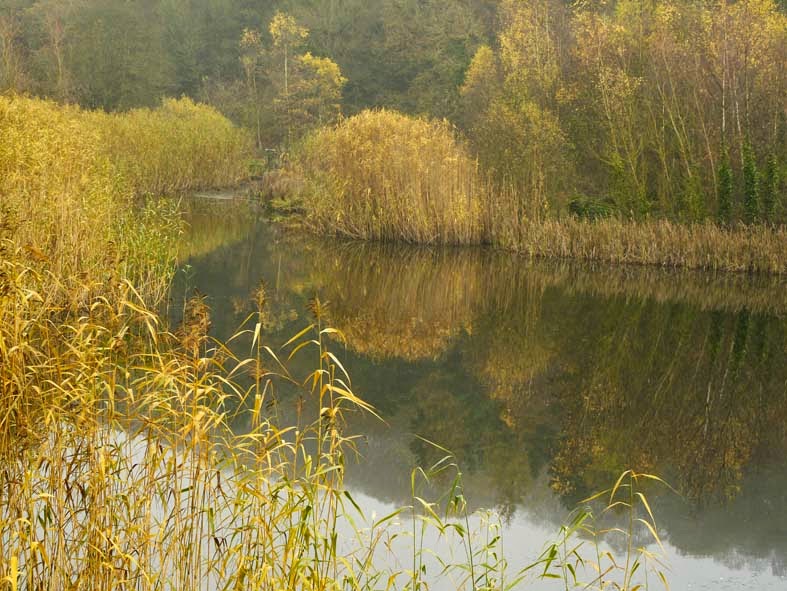 Urban and Post-Industrial Nature: Winlaton Mill - from iron foundry and ...