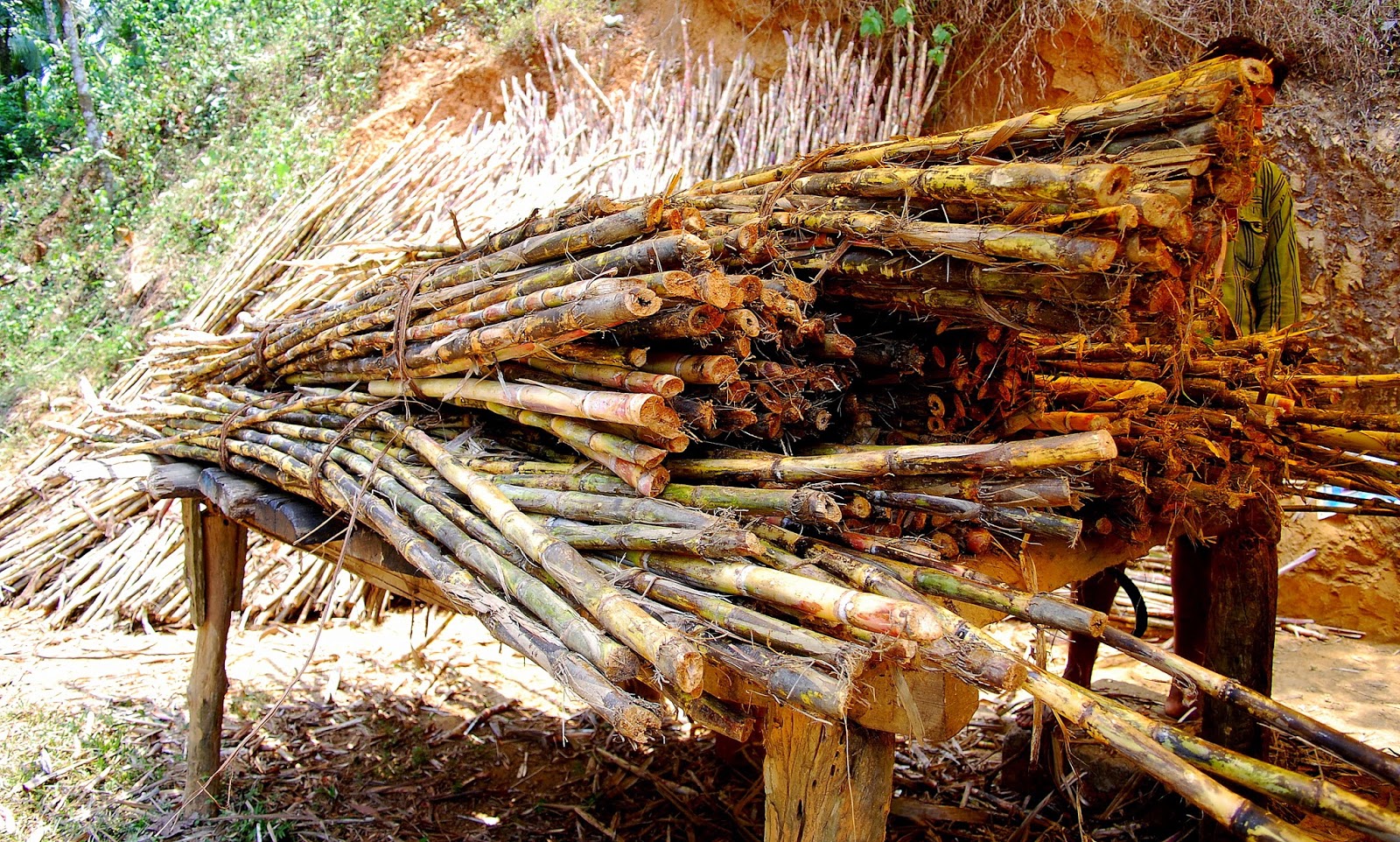 Heritage Retold.....: Joy of Joni Bella of Haigunda