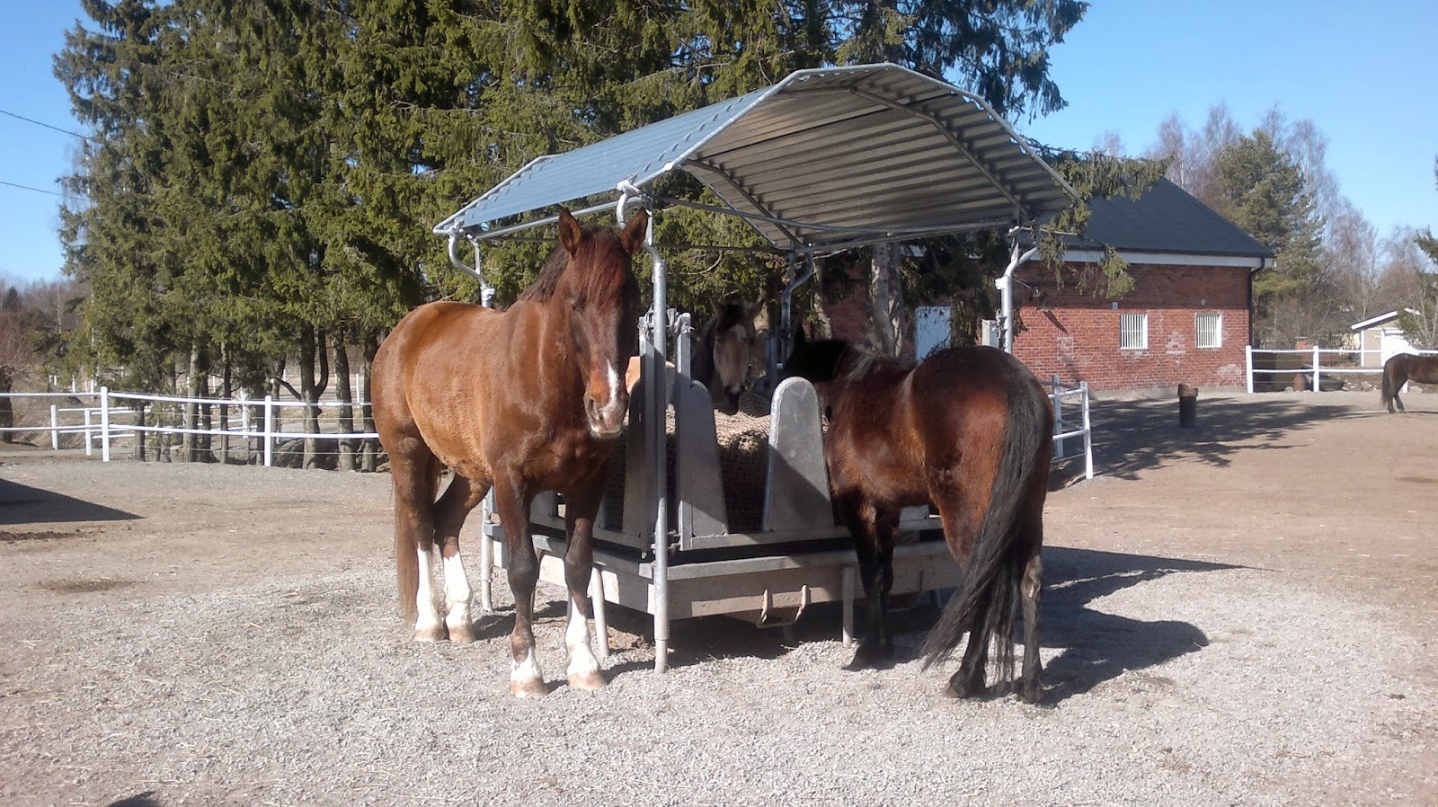 Tapahtumarikas Tallimme!