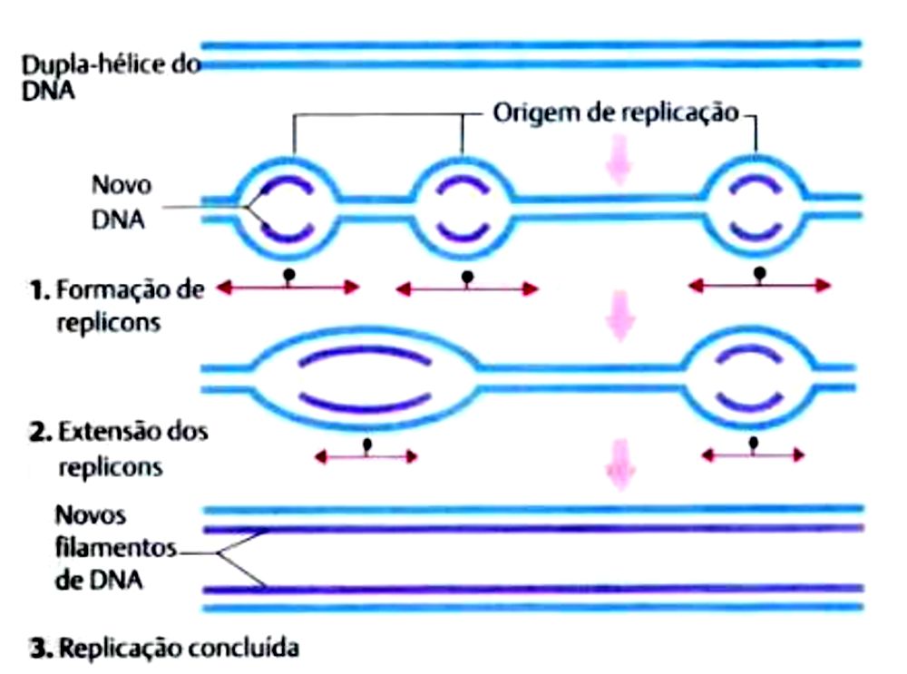 Science : Bioquímica.