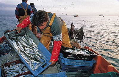 Chalaco Que Se Respeta: ORIGEN DE LA PALABRA CALLAO: ¿Indígena o ...