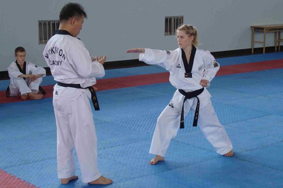 Traditional Taekwondo Ramblings: The Pillars of Taekwondo Training Part ...