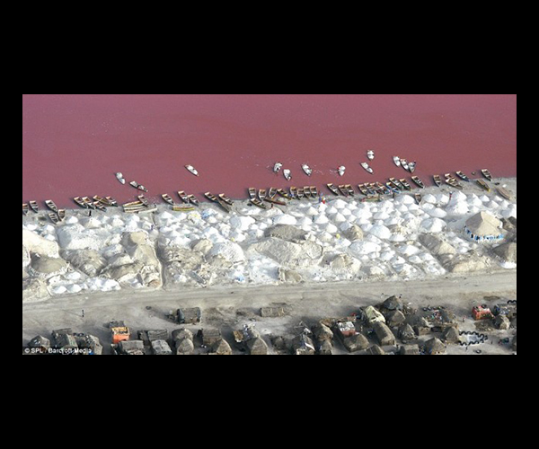 LAGO ROSA | The World