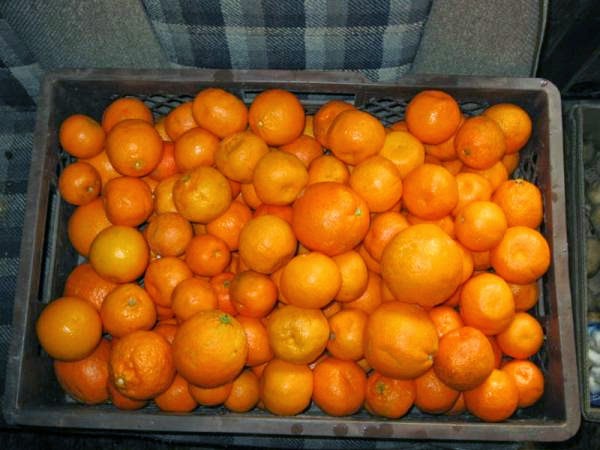 "බිඟු නද": January 2015