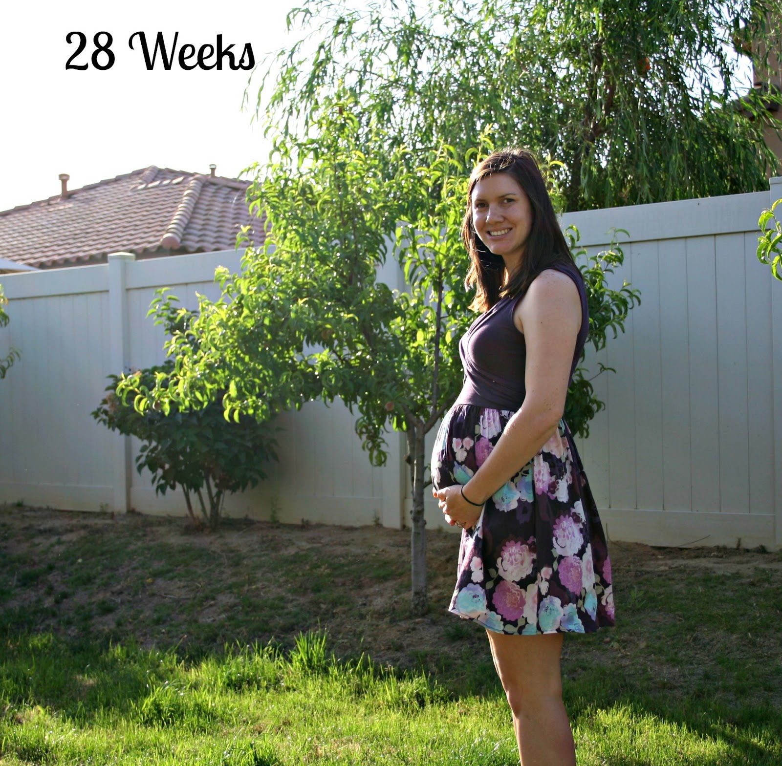 The Noble Adventures: 28 Weeks! Officially in the Third Trimester!