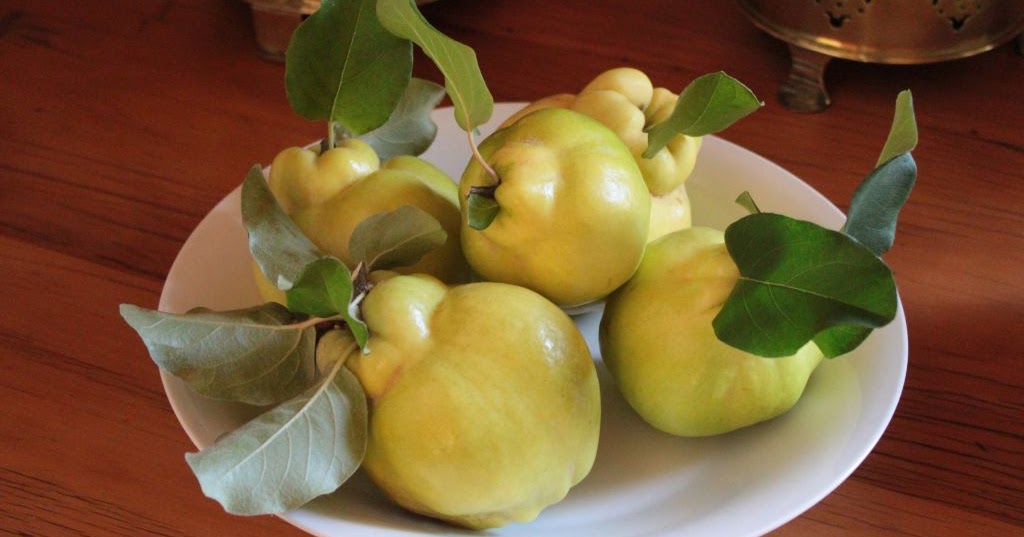 Towerwater Aan De Breede: Quinces in autumn