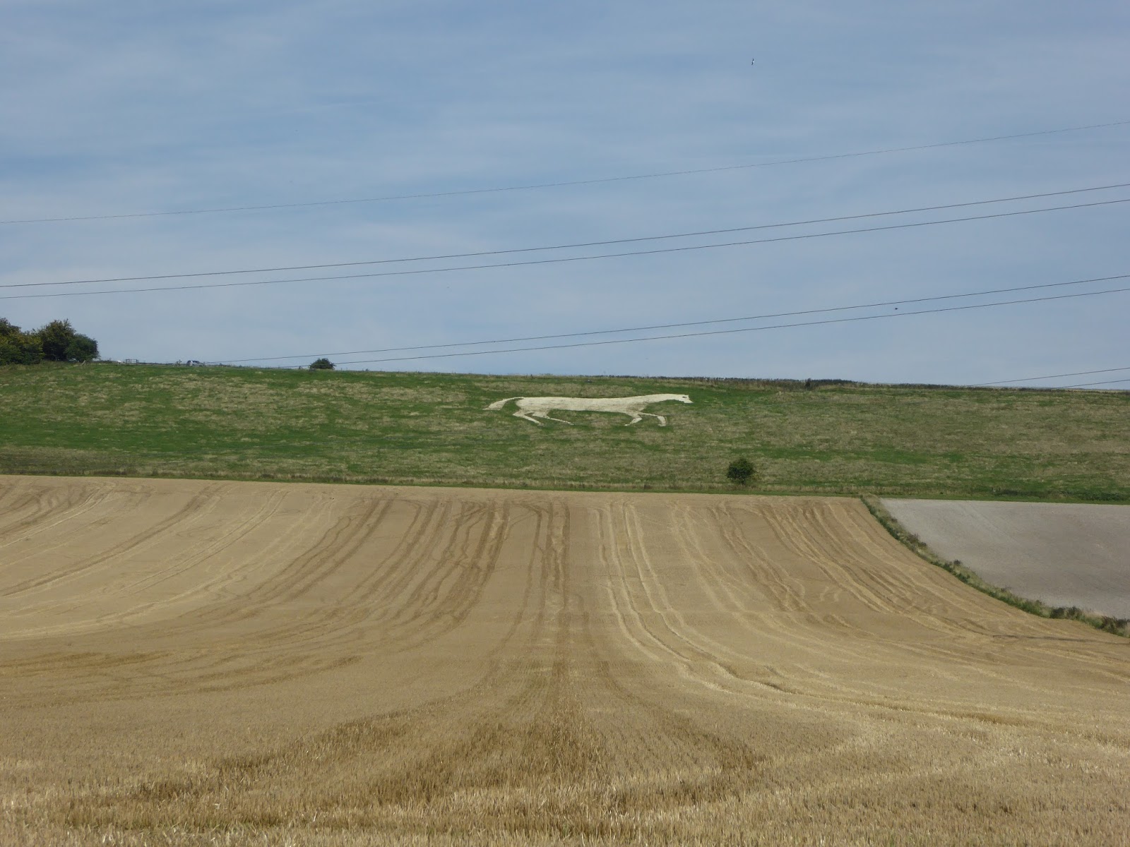 Random encounters with the unusual: The Devizes Millennium White Horse