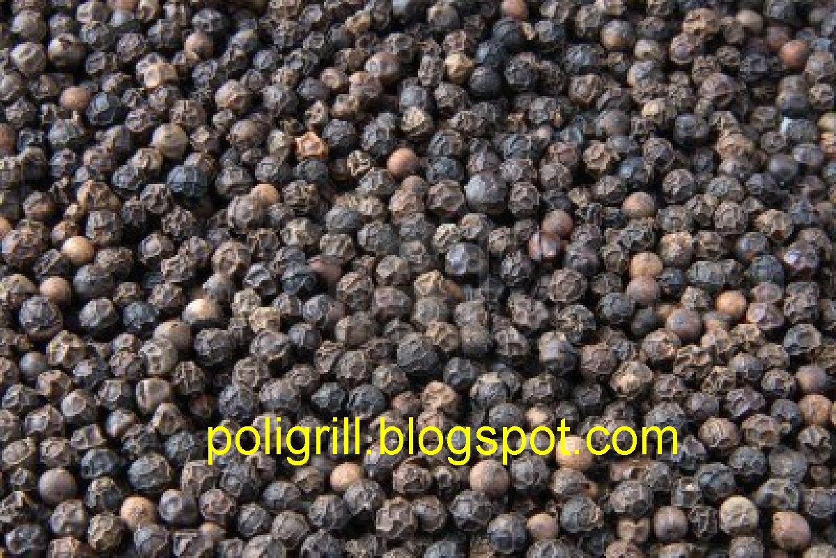 PoliGrill: Essential Healthy Spices