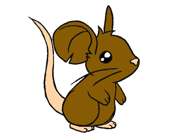 EL RATÓN RAMÓN, EL ESCARABAJO PETAJO Y EL OSO VELOSO - FÁBULA