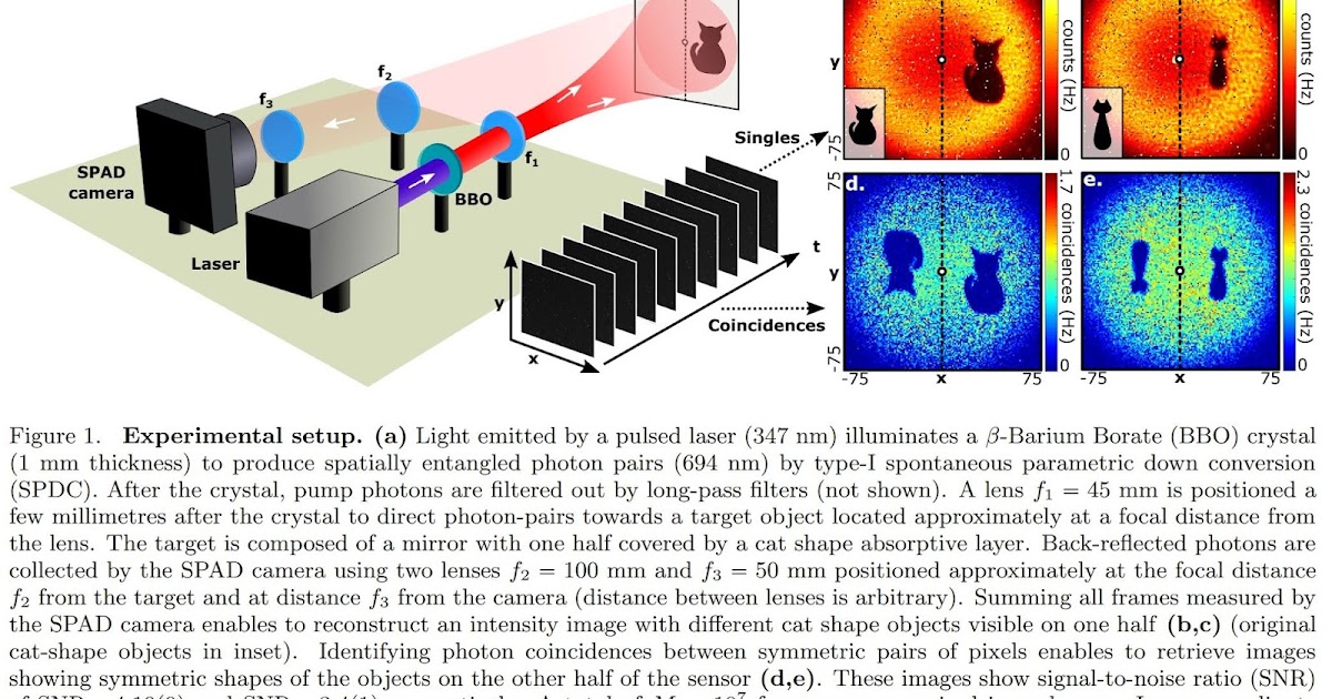 Image Sensors World: Entangled Photon Imaging with SPADs
