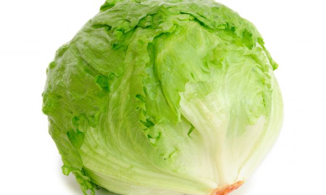 Todo Natural: Beneficios Todo Natural de la Lechuga (Lactuca Sativa)