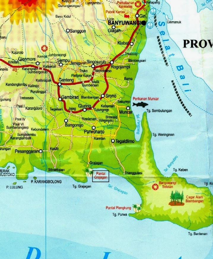 Sejarah Asal Usul Nama BANYUWANGI - Osing