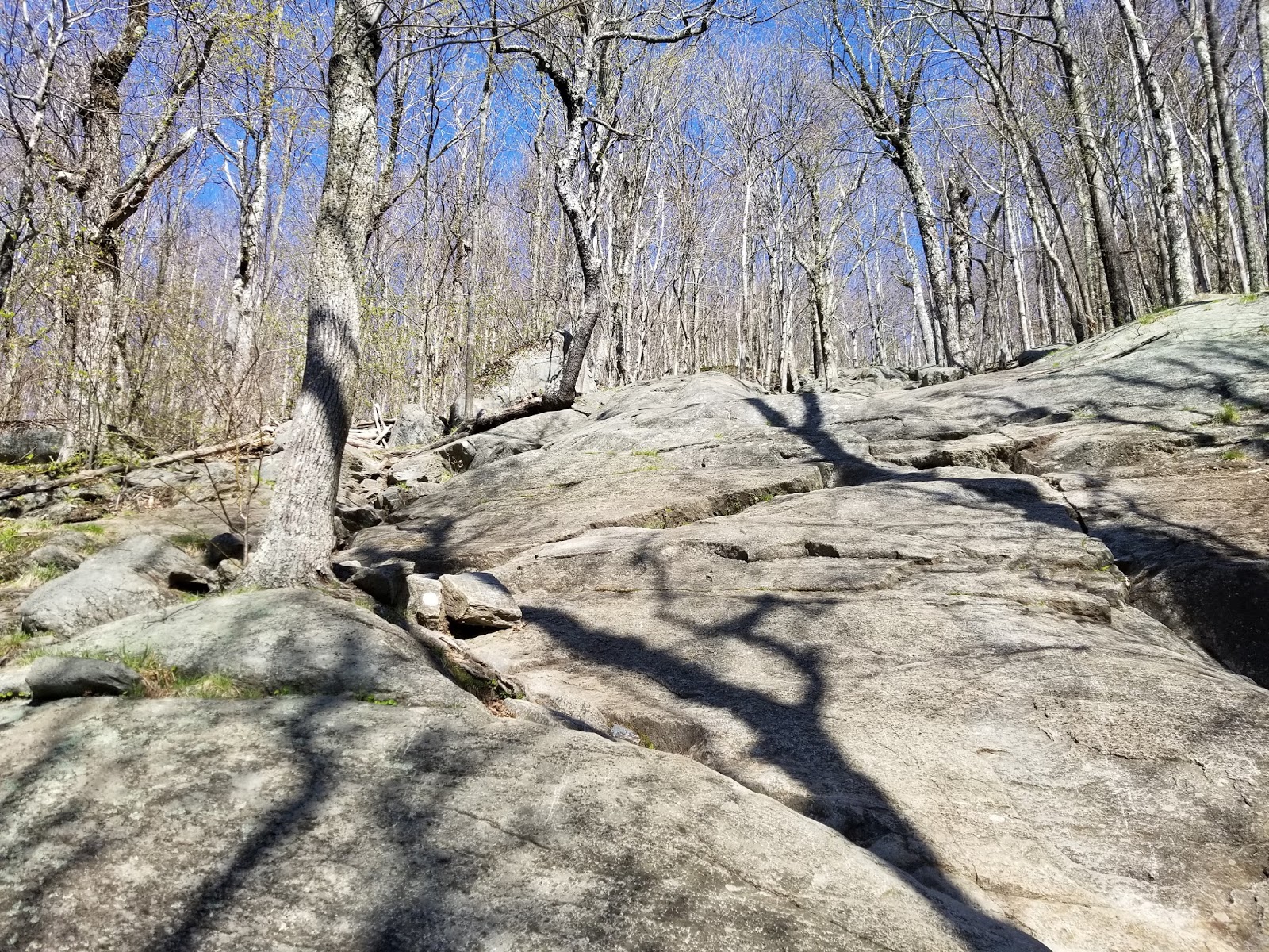 The Albany Hiker: A "Grand" Ascent up Mount Monadnock