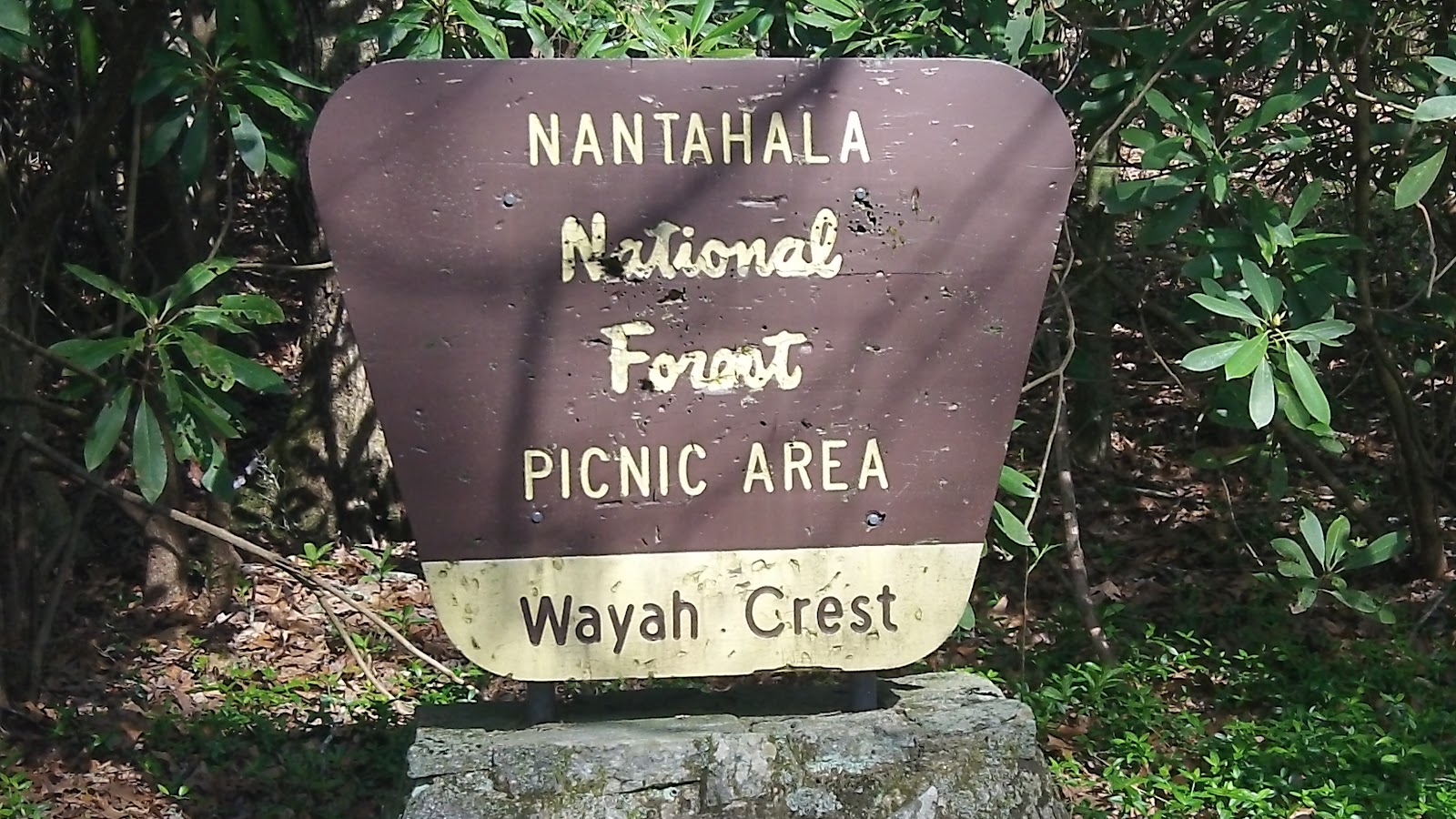 Hike #4 - Deep Gap to Wayah Gap