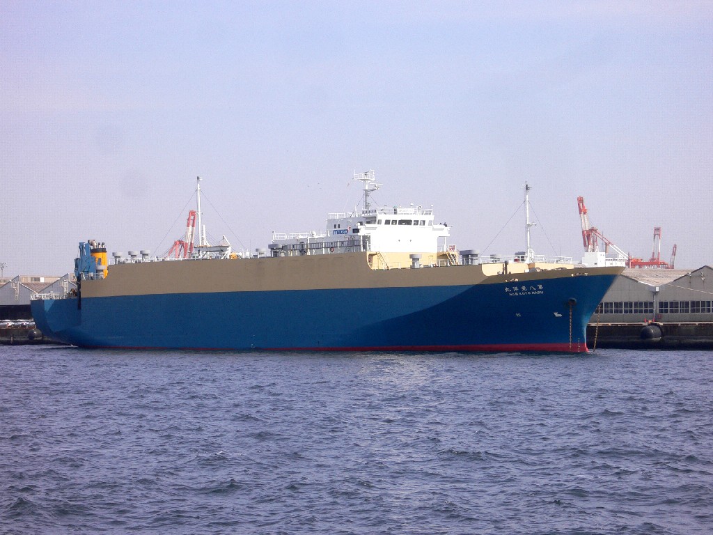 Vessels For Sale: M/V KOYO MARU NO.8